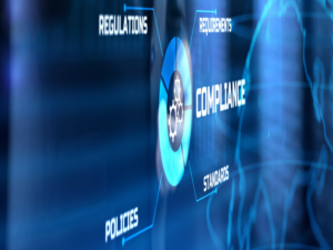 The Qualified Person for Pharmacovigilance (QPPV)